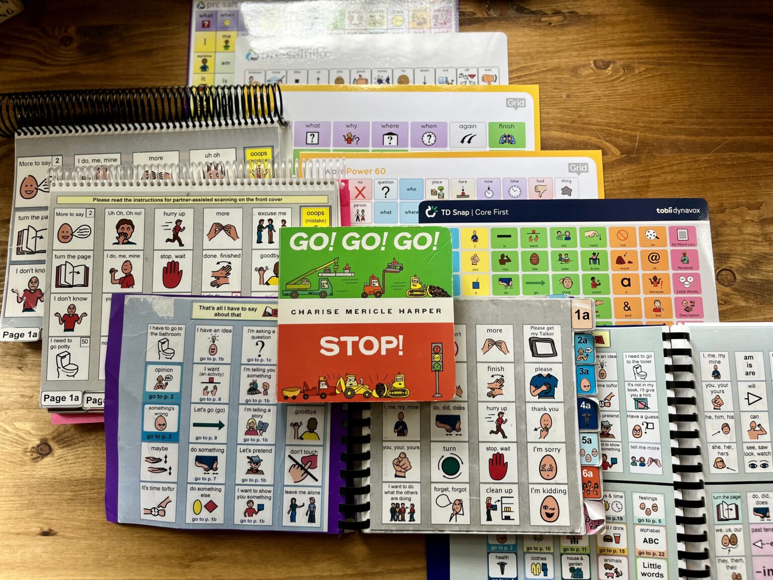 Empowering Communication: Literacy and AAC - AAC Experience